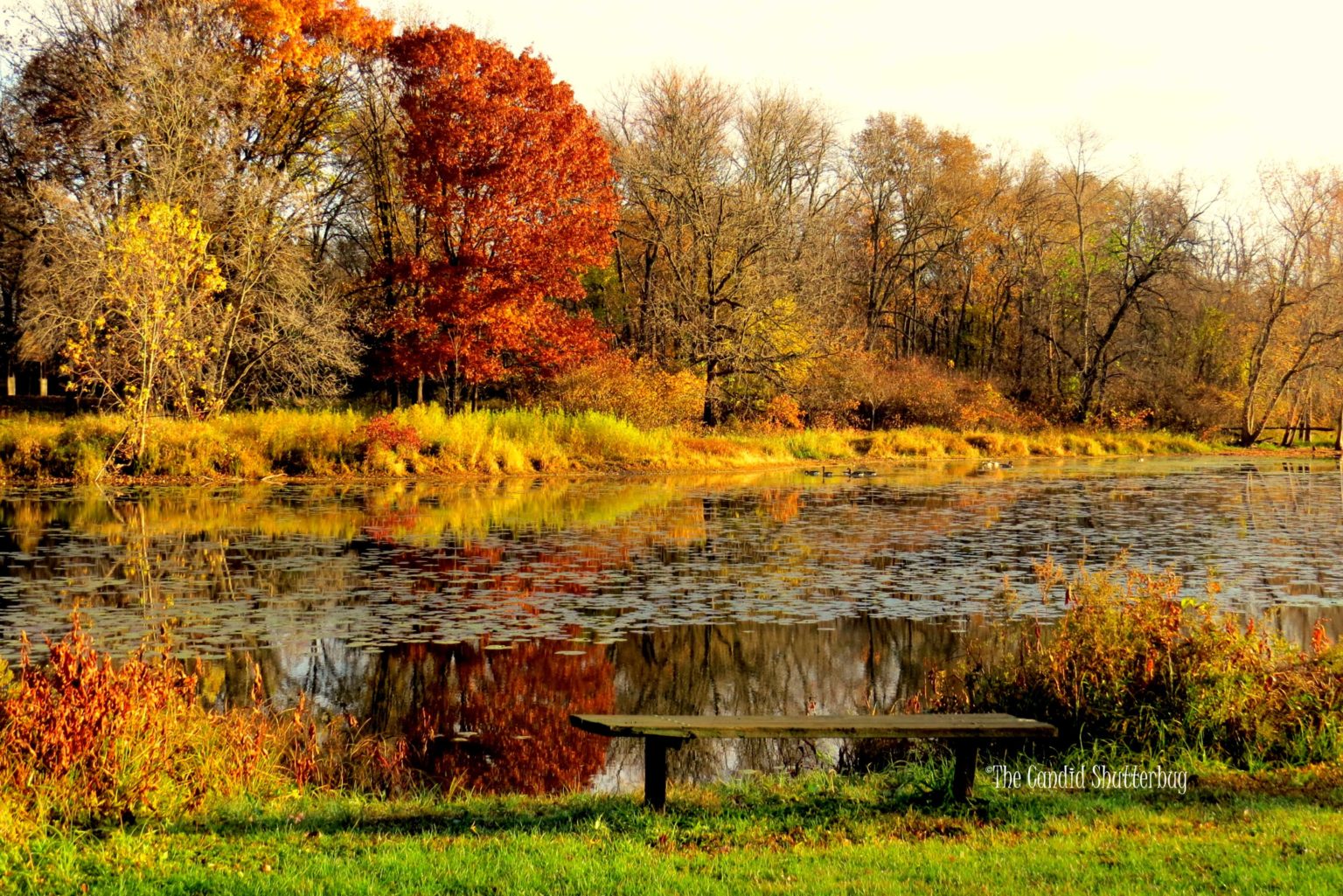 Pick-Up Iowa - Keep Iowa Beautiful