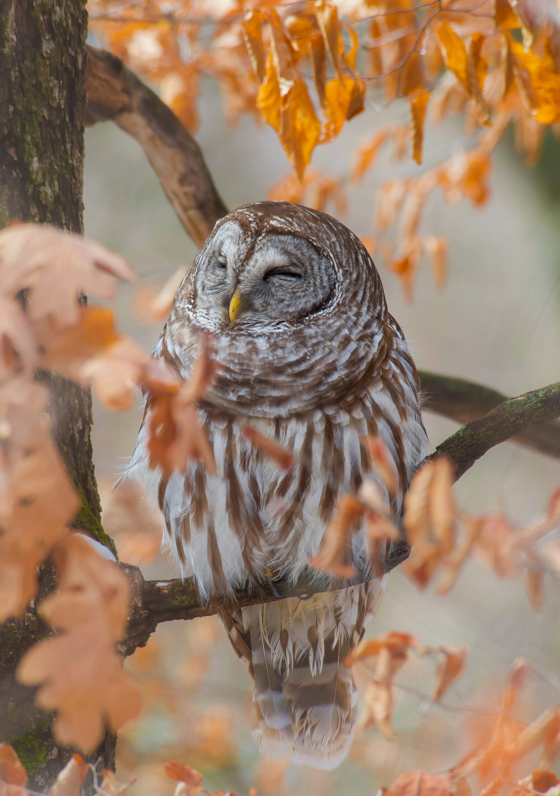 Photography Contest Winners - Keep Iowa Beautiful