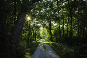 Plant Iowa Beautiful Grant - Keep Iowa Beautiful